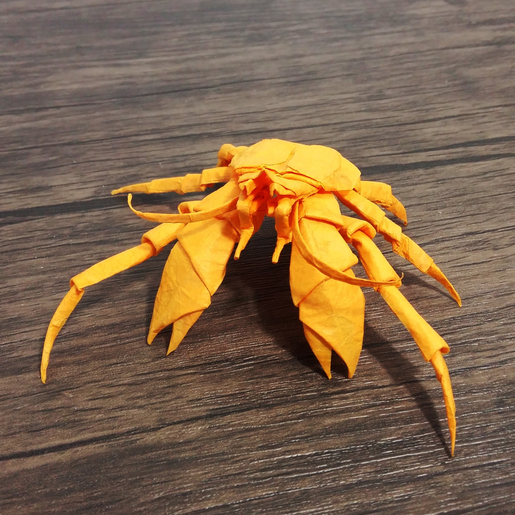 Origami Coconut Crab