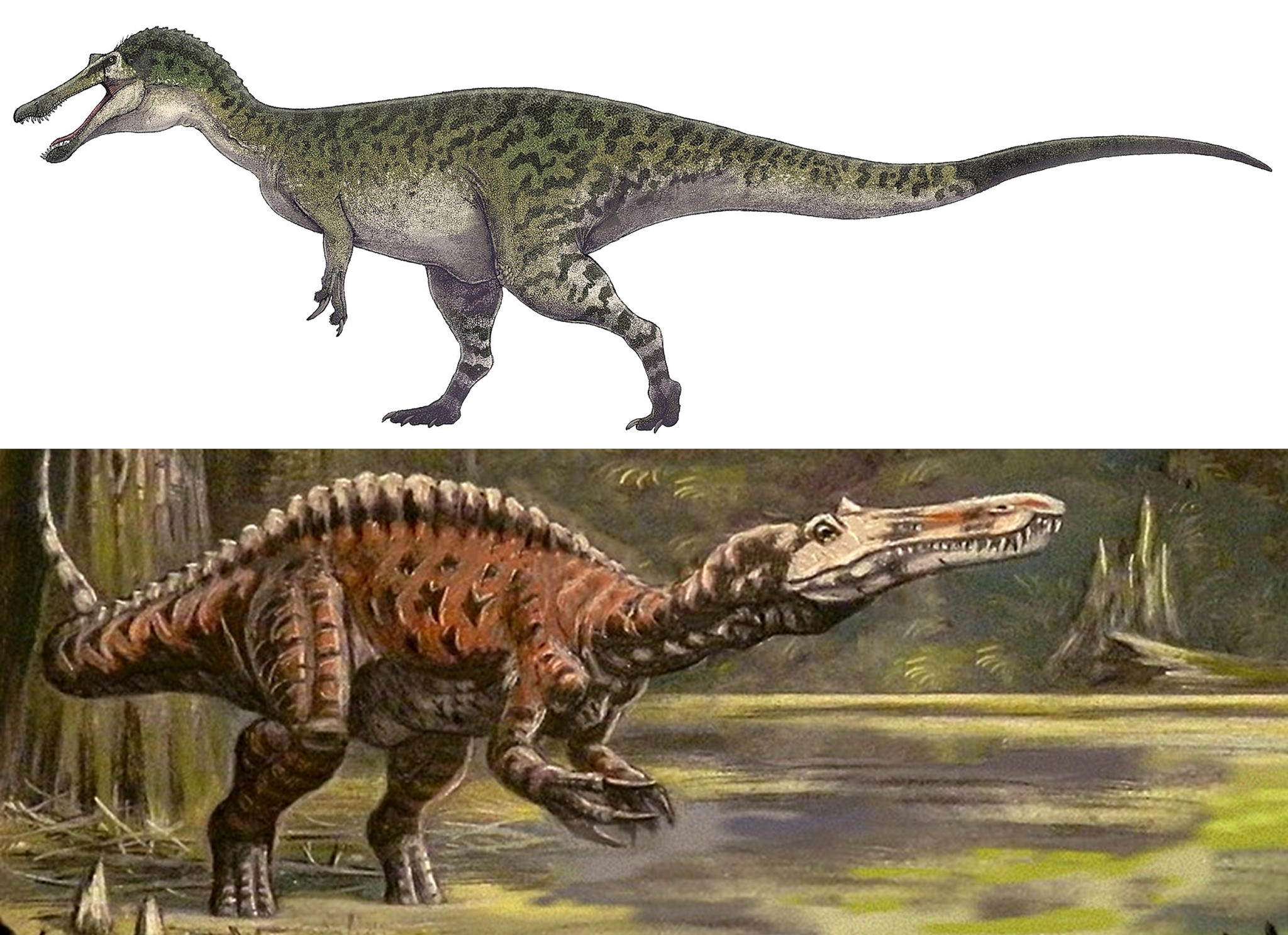 Archive for July 2020