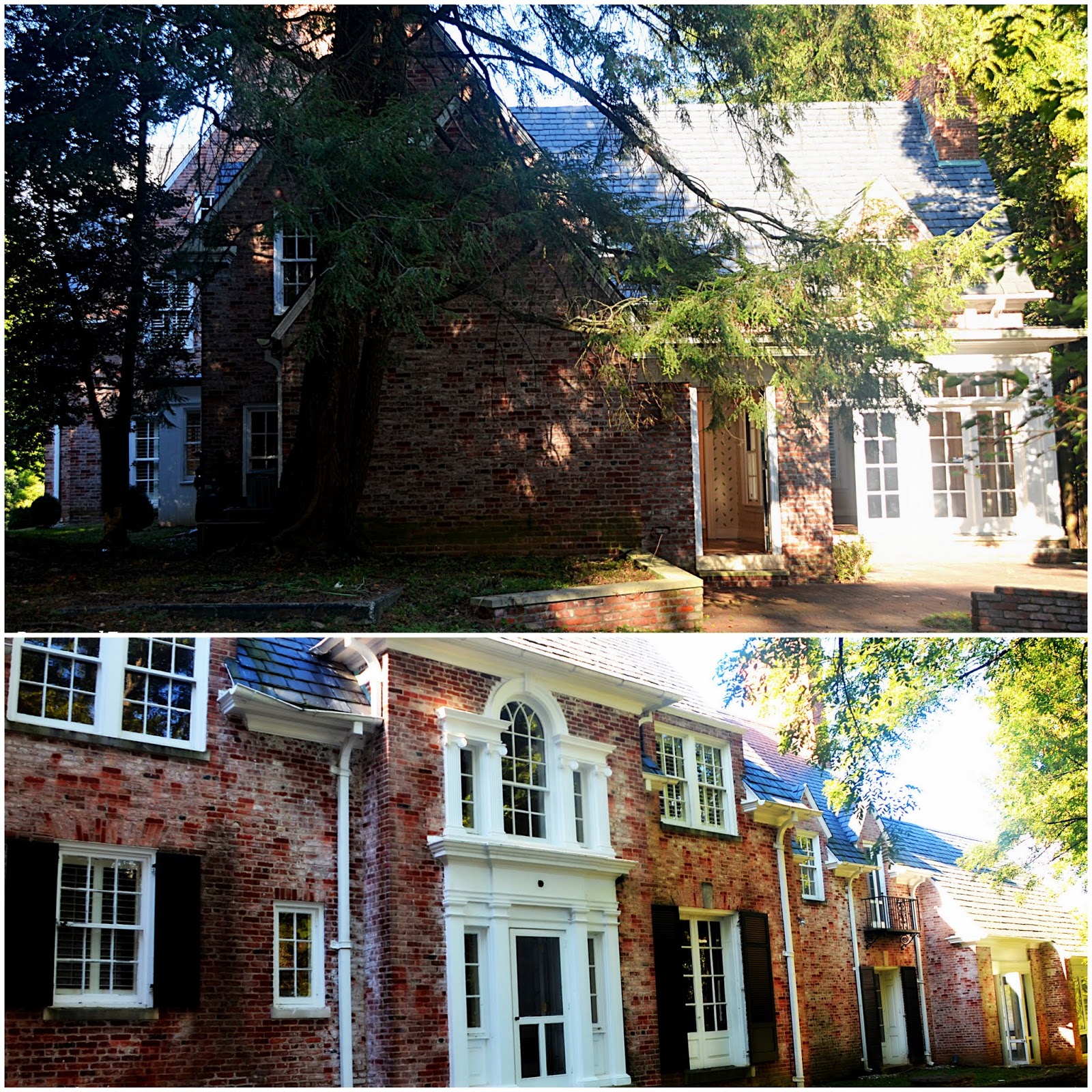 Red-shouldered Hawks of Tingsgrove and Beyond: The Rosewell Mansion ...