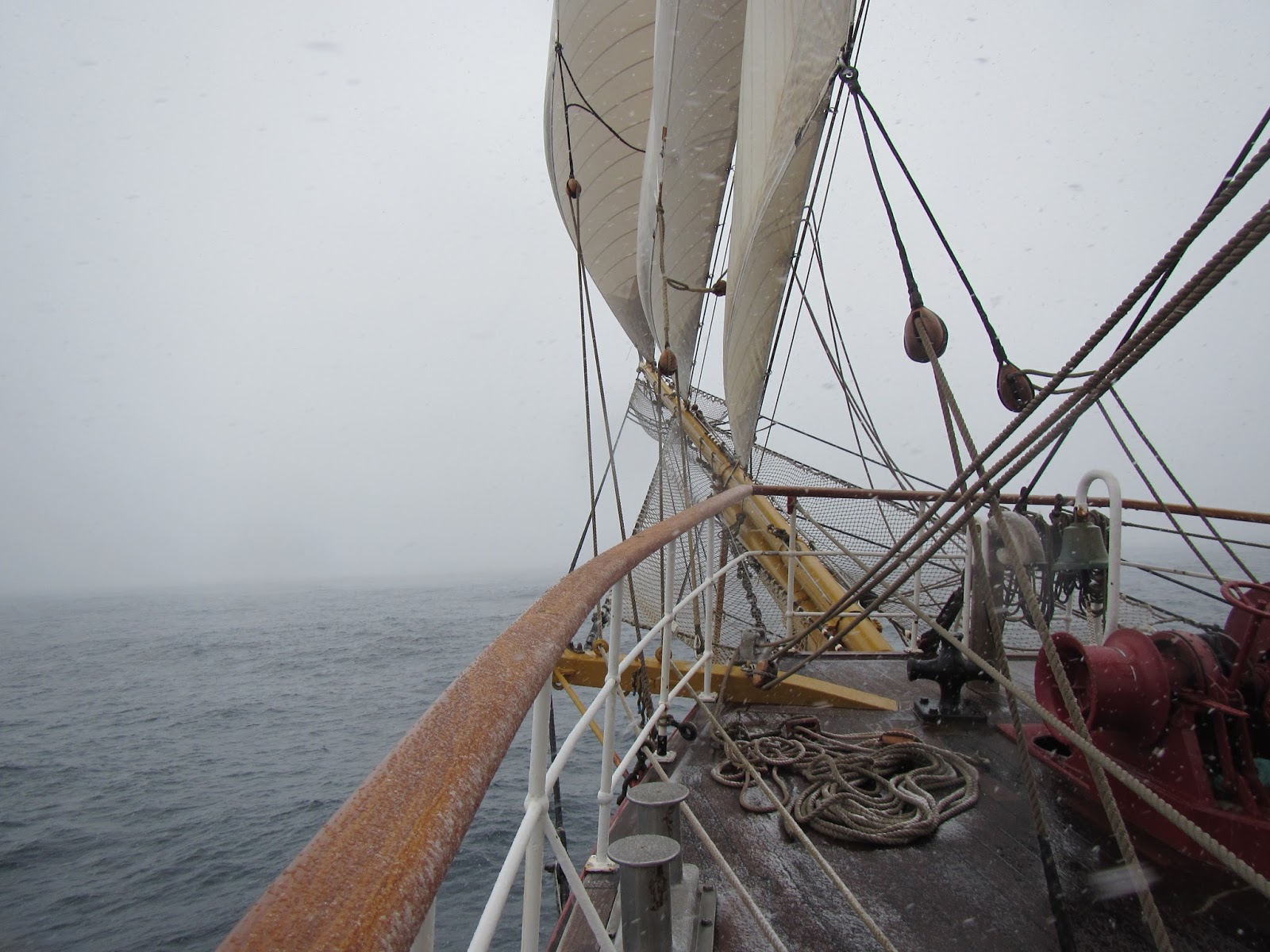 Sailing Antarctica Seas!: Sailing the Drake Passage... aka Drake Shake!