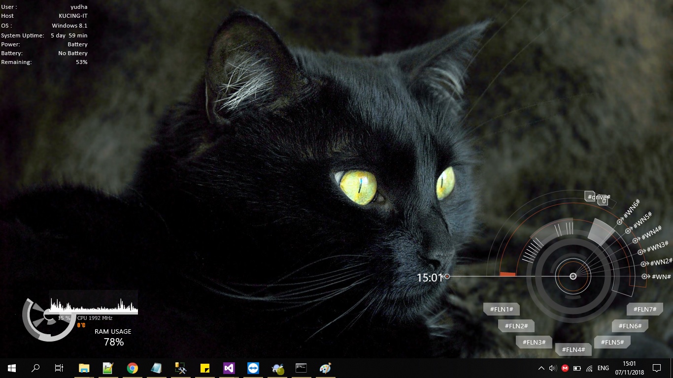 Windows 10 Dengan Tema Kucing ~ Yudha's World