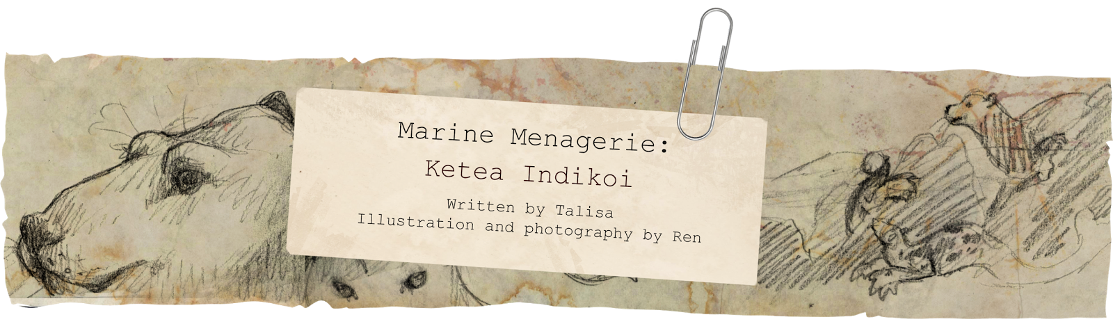 Better Beastiary: The Ketea Indikoi