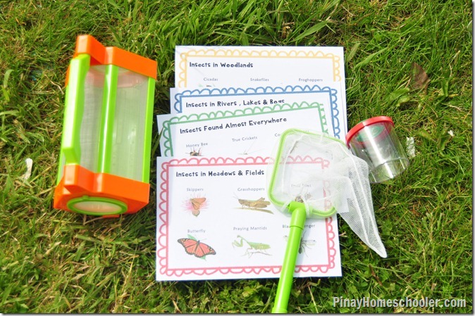 Insect Themed Lesson Plans for Kindergarten to First Grade | The Pinay ...
