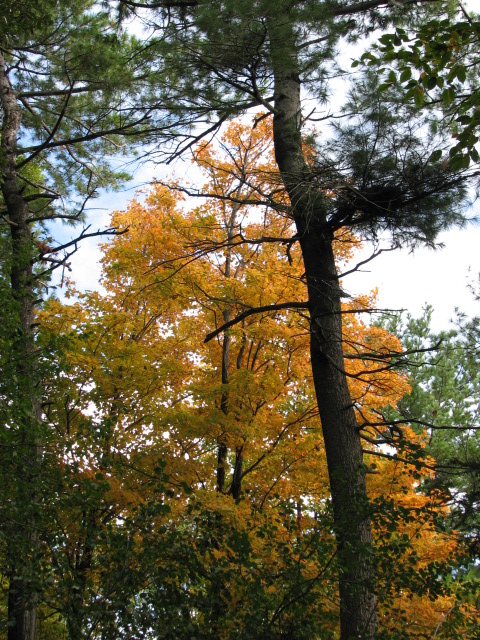 Red Rocks Park -South Burlington, Vermont | Litter with a Story To Tell