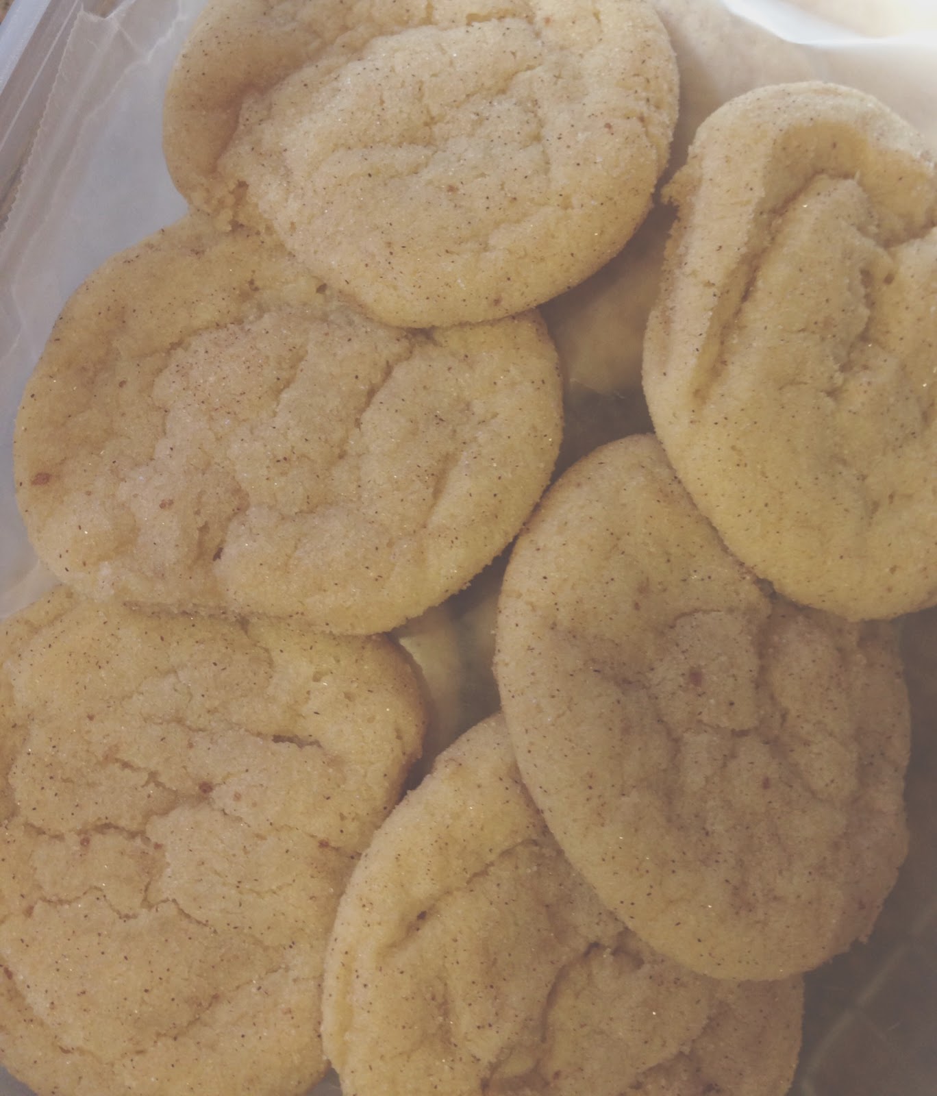 A Million Things: Banana Slugs, Marie Antoinette and the World's Best ...