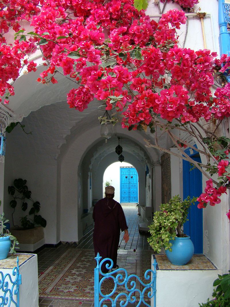 Dream: Sidi Bou Said......famous cities, a beautiful architecture design