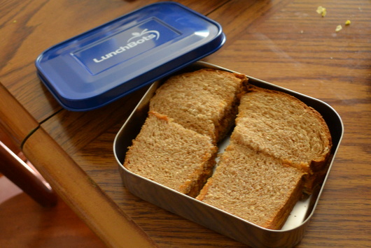 How to Make a Beautifully Risen Loaf of 100% Whole Wheat Bread ~ Eco-novice