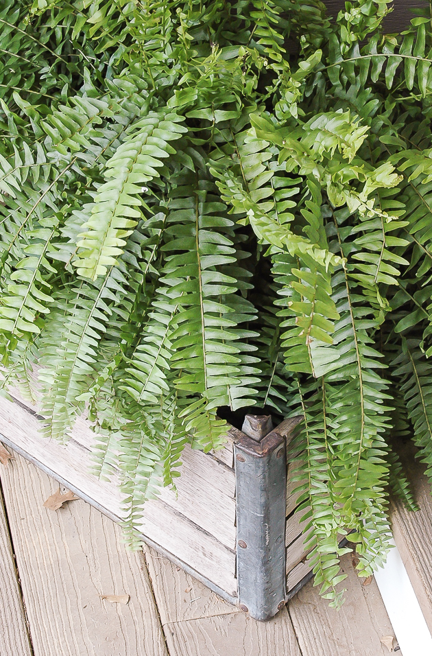 Let's Go Shopping: Favorite Summer Decor From Walmart | Little House of ...