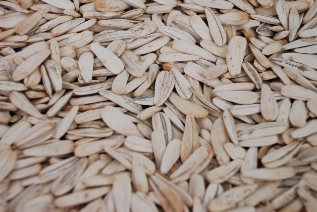 KAFAM İYİ NE YEMELİYİM?: 1. Çekirdek