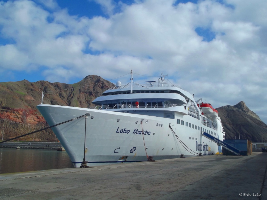 mar do porto santo: Lobo Marinho com horário diferente no mês de Agosto