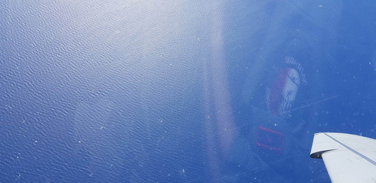 golf-pilot-aviation-blog-esperienza-di-un-birdstrike-durante-un