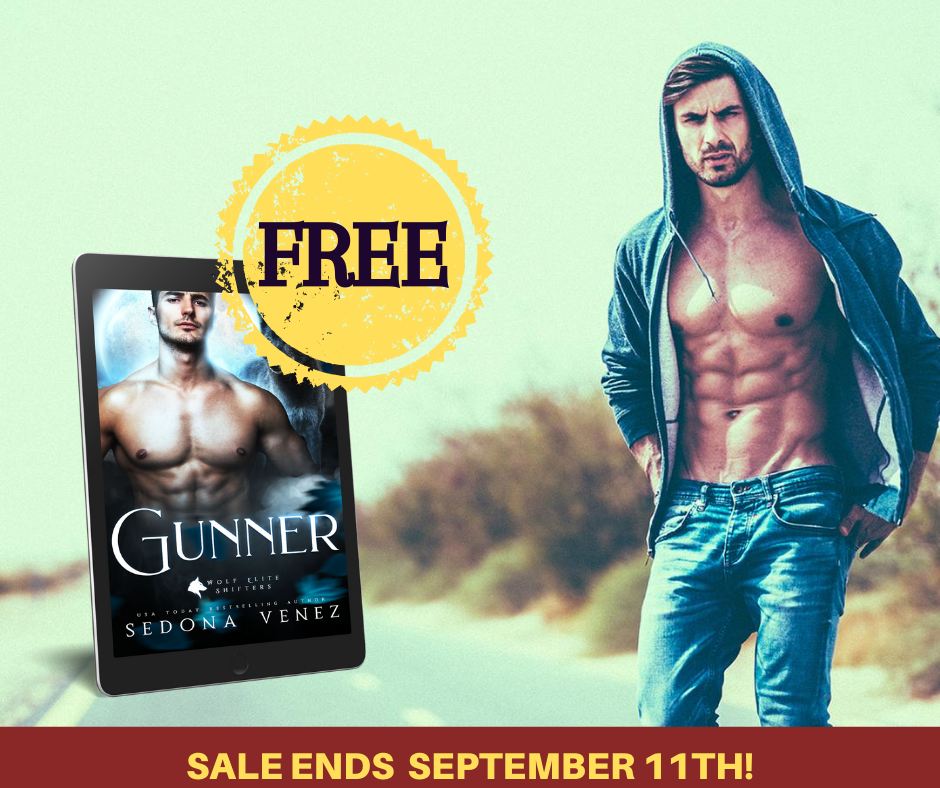 Inside the Insanity: *Freebie Book Blitz* Operation Wolf: Gunner by ...