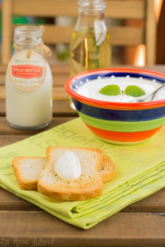 Cómo hacer lactonesa | mahonesa sin lactosa y sin huevo - La Rosa dulce