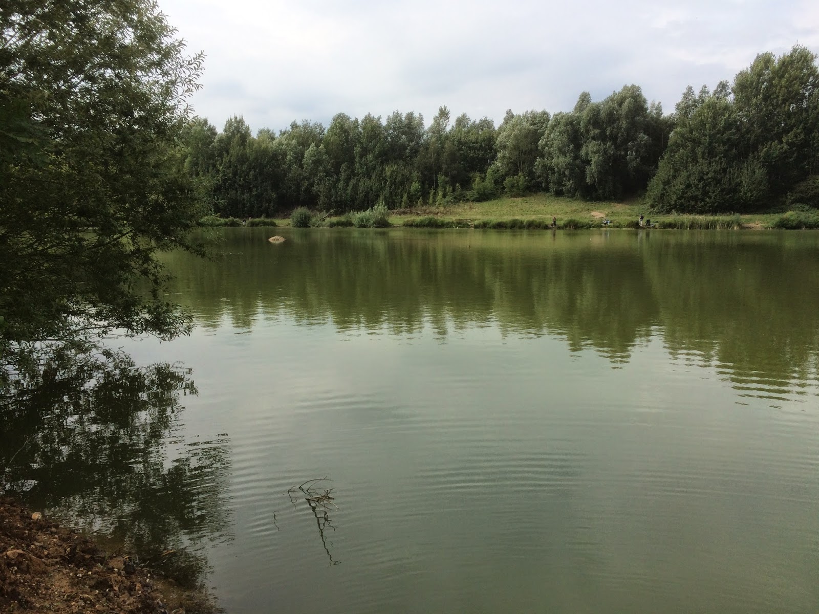 FishStrain: Willows Farm 27-8-14