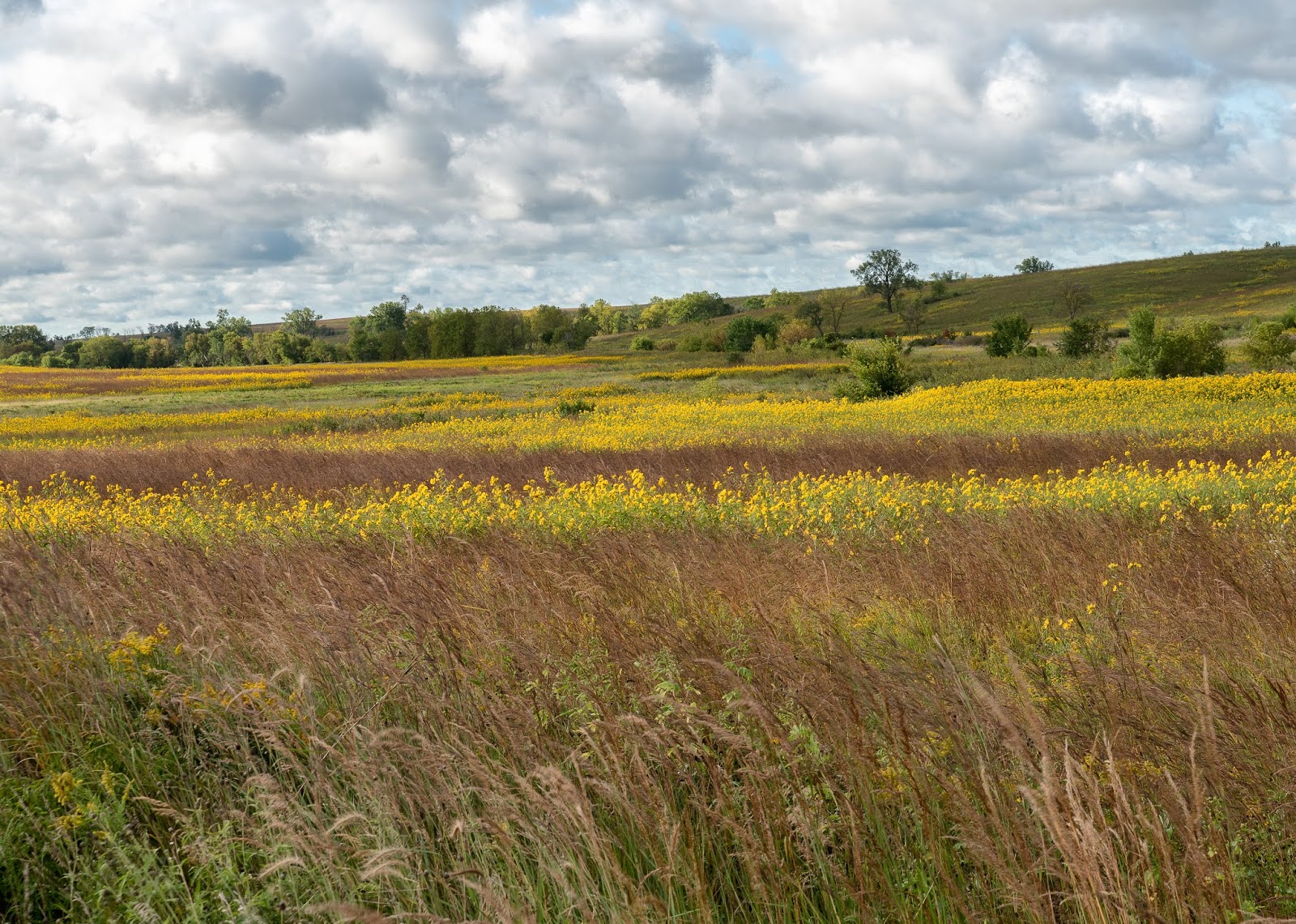 Seeing Nature: You ought to give Iowa a try
