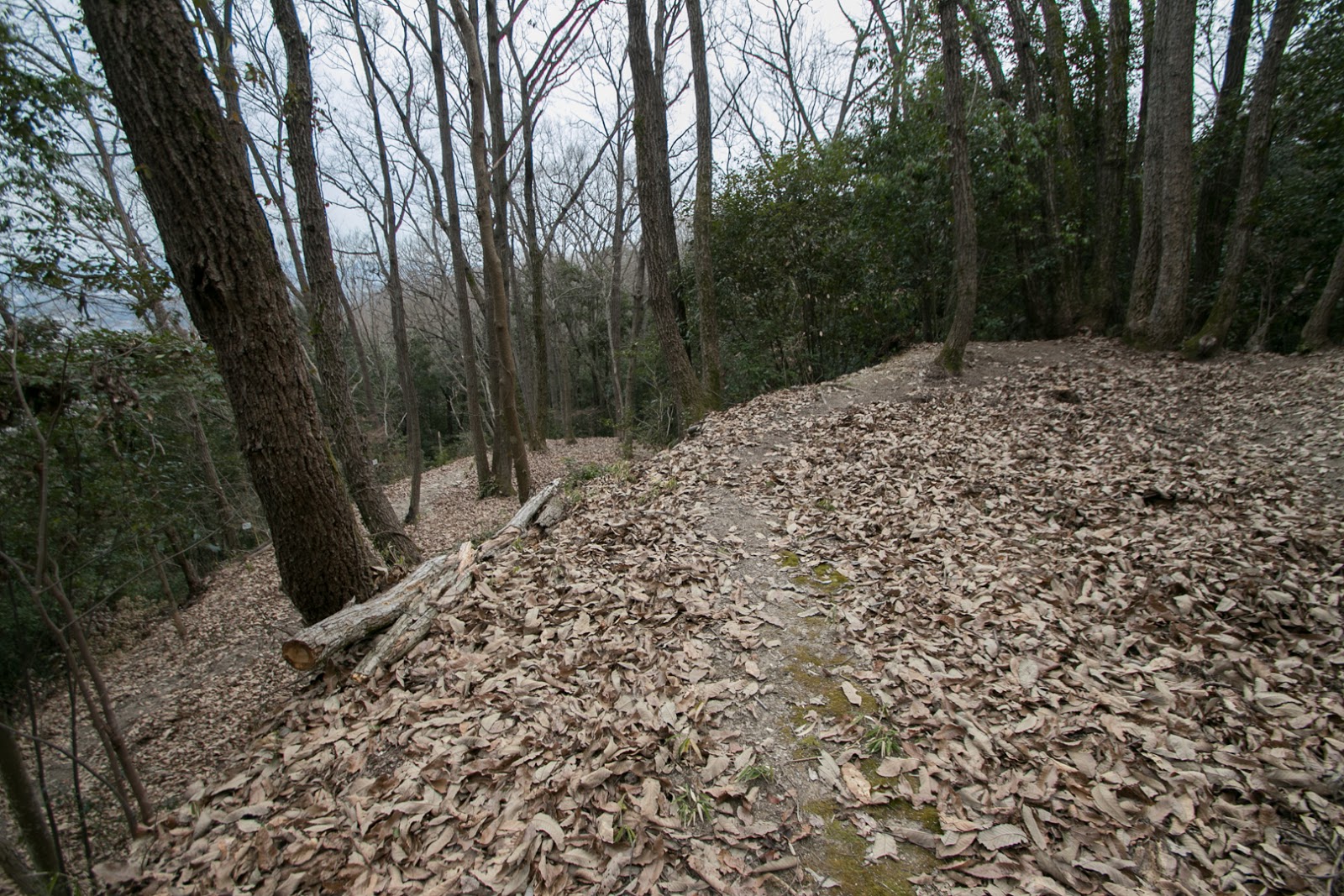 Niitakayama Castle -Intellectual pillar of Mouri clan (2)- | Japan ...