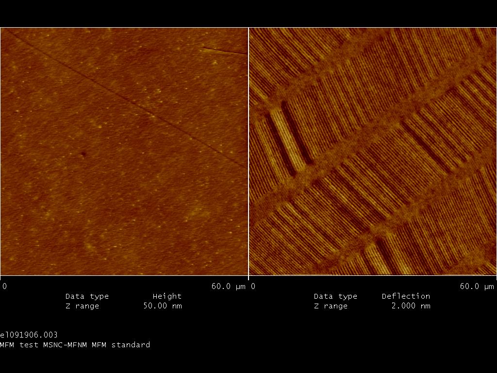CMMP Scanning Probe Microscopy
