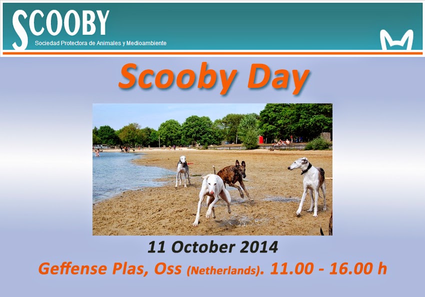 Scooby English News Blog: 3rd edition of the Scooby Day!