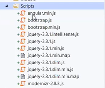 Test: Angularjs in Asp.net MVC