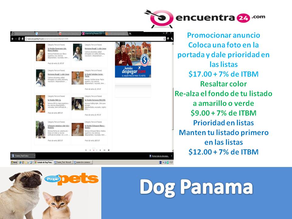 Dog Panama Perros en Panama : Donde Nos puedes ubicar