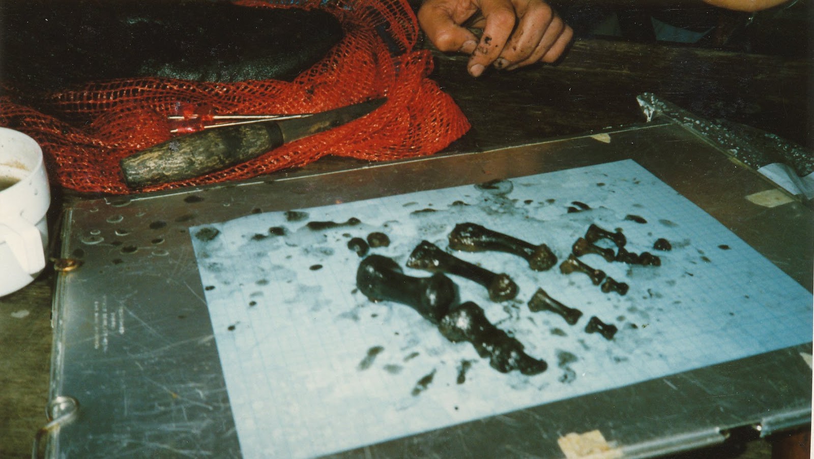 Captain Niit's log: Kronan Royal War ship Diving the time capsule