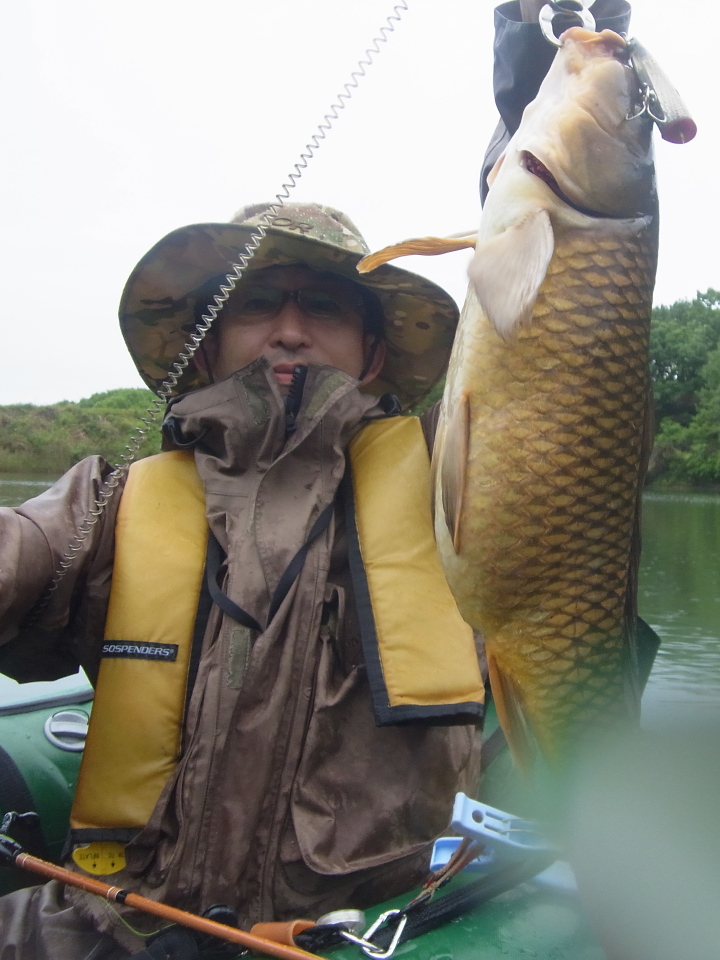 Chug-Chug! Rush, At Ease!: Carp and bass