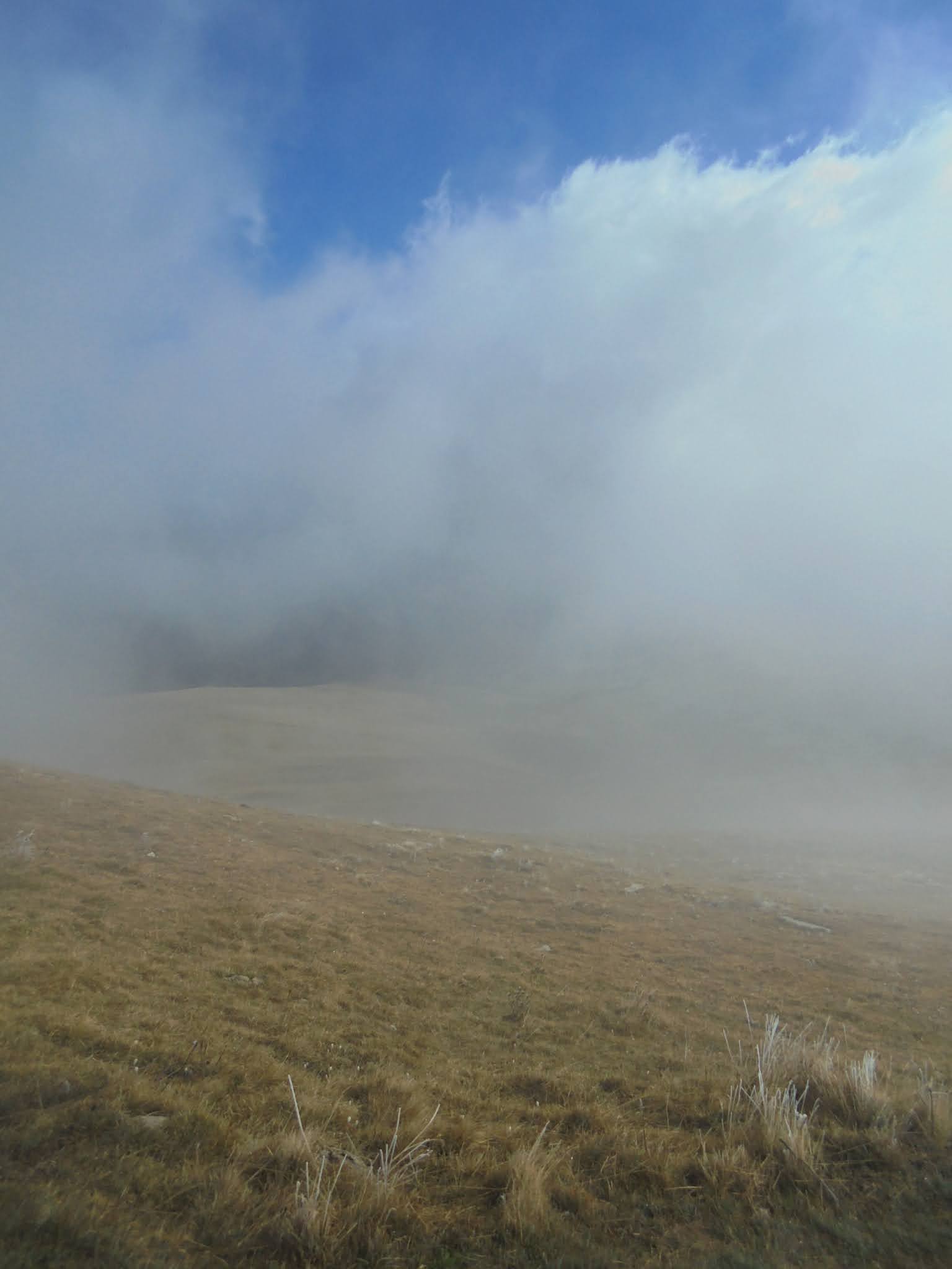 MUNTANYA: Sant Martí d'Ogassa, el Taga, 2040m i el turó de la Portella ...