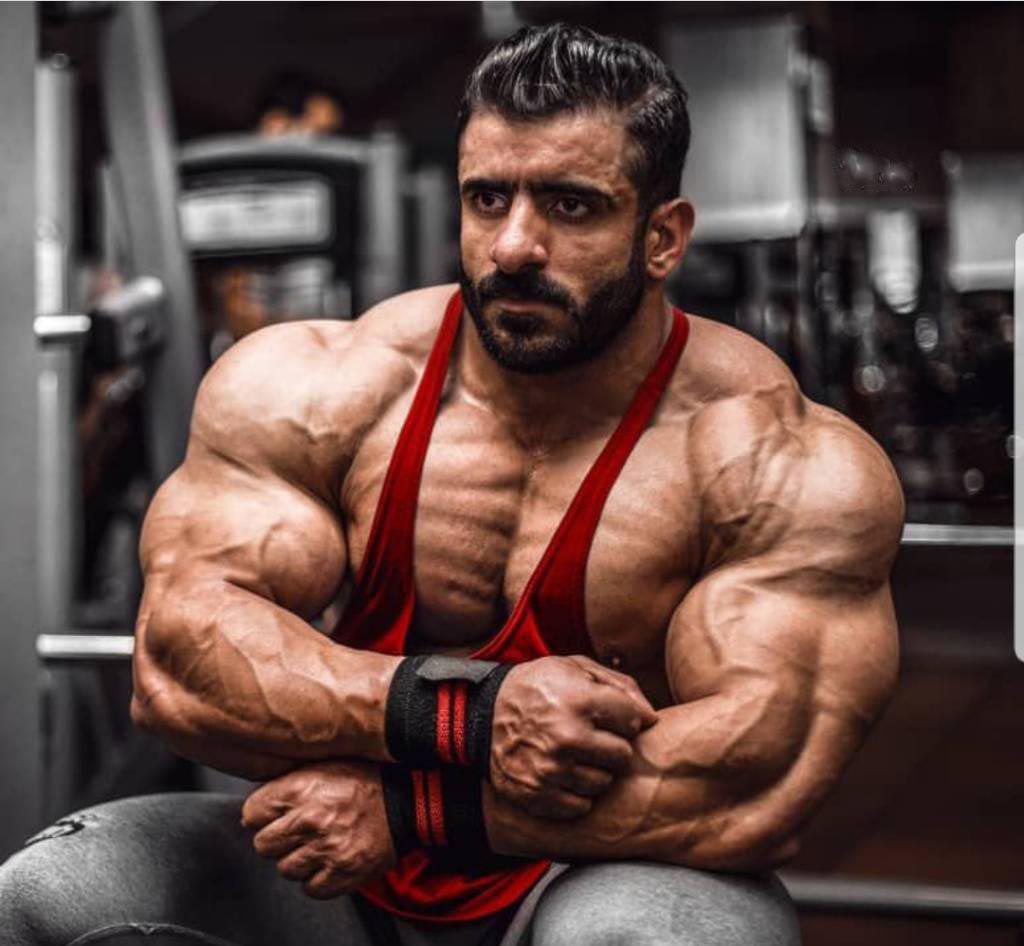 Worldwide Bodybuilders: Beast of the Year - Number 1: Hadi Choopan, the ...