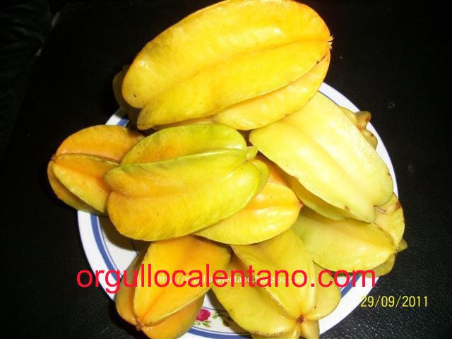 Soy de Tierra Caliente: Frutas - Olores, sabores y colores de Tierra ...