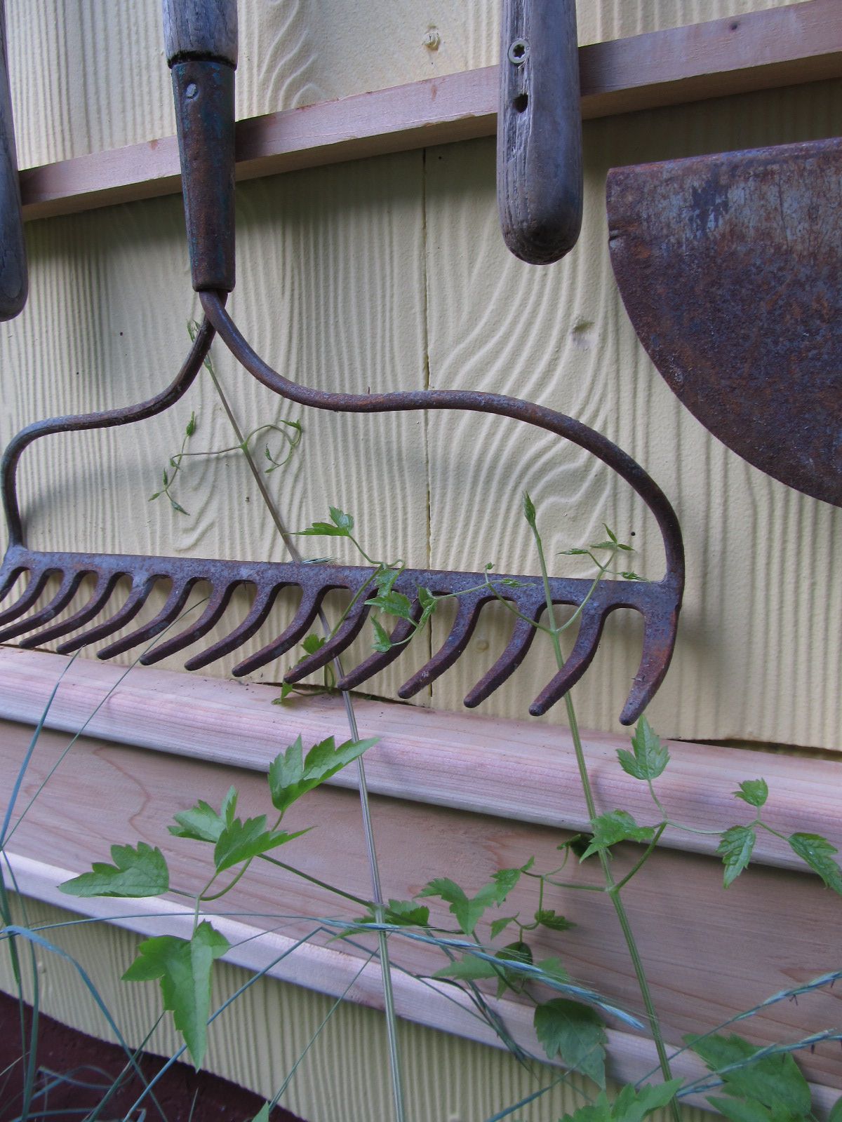 Montana Wildlife Gardener: Repurposed Garden Tool Trellis