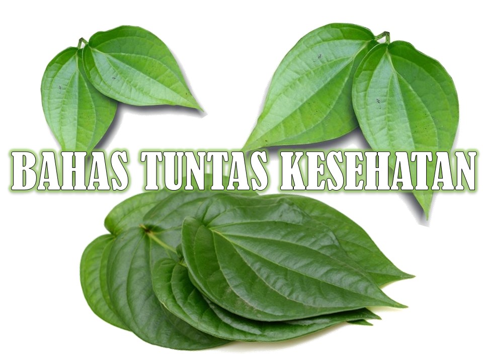 6 Penyebab Radang Amandel dan Cara Mengatasinya - BAHAS TUNTAS KESEHATAN