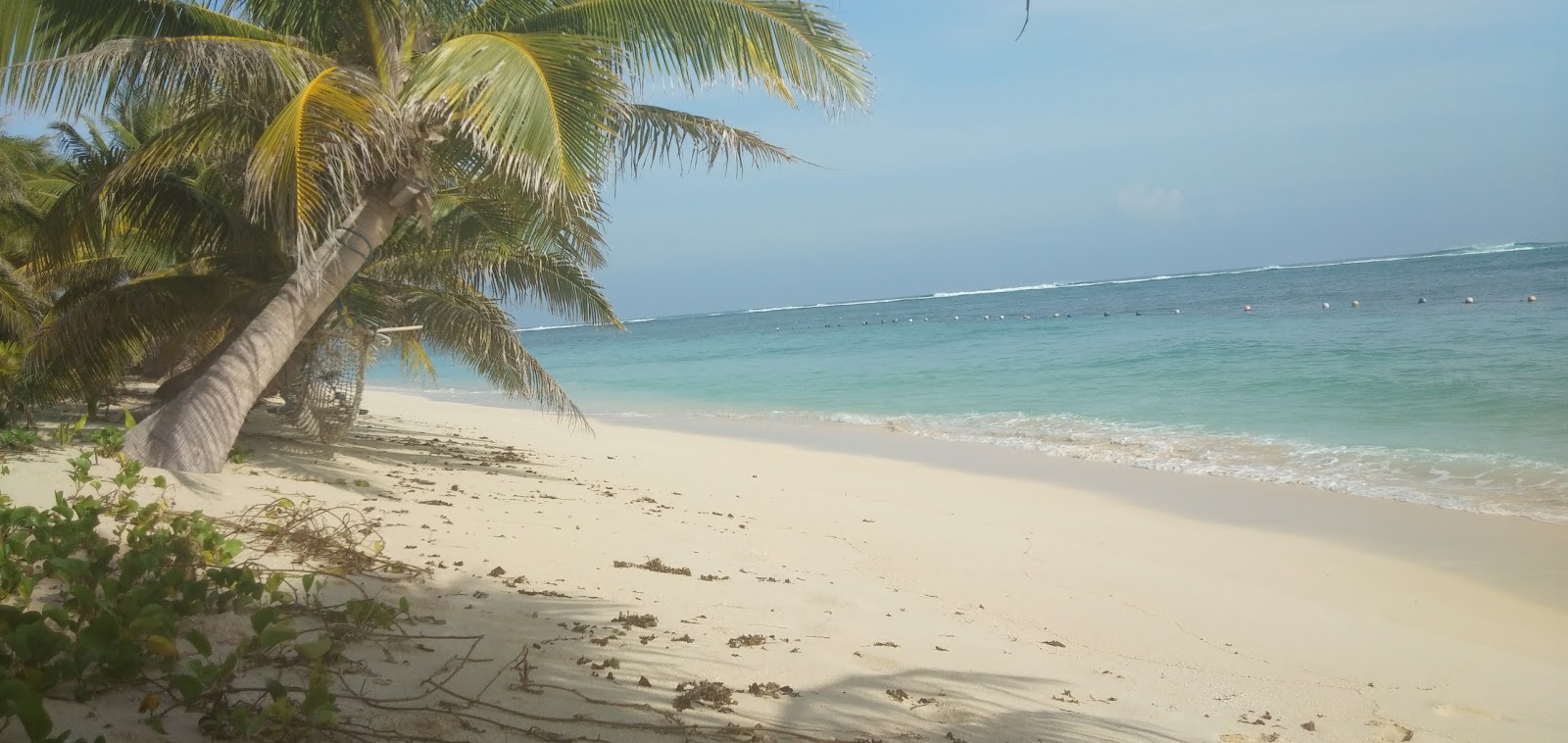 Remembering Our Jomalig Island Adventure. An Off-the-Grid Travel Experience