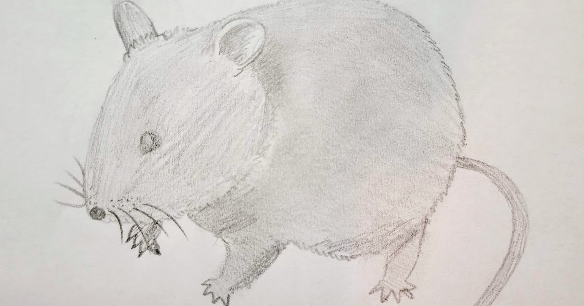 Motivated Parent - Successful Child: “Of Mice and Men” by John ...