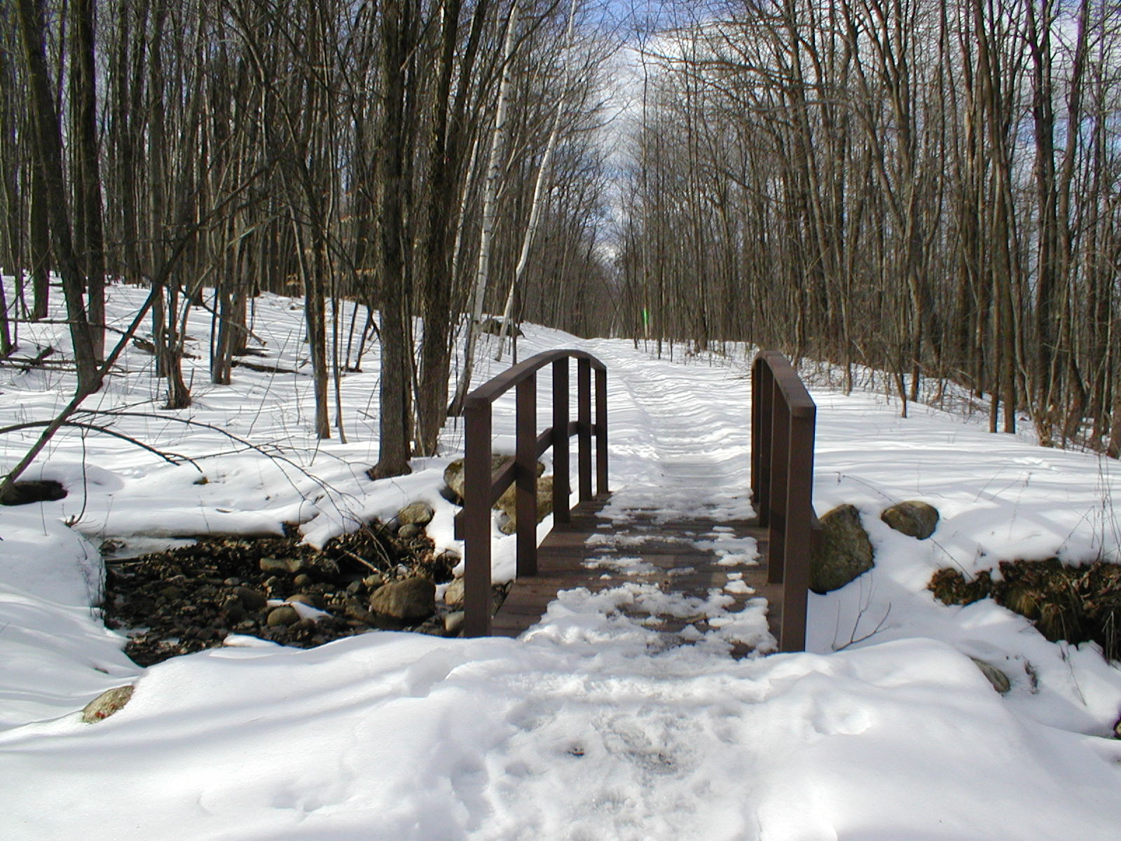 Onestep Outdoors!: Garcelon Bog Conservation Area