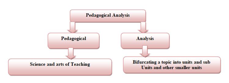 CHAPTER: 08 PEDAGOGICAL ANALYSIS