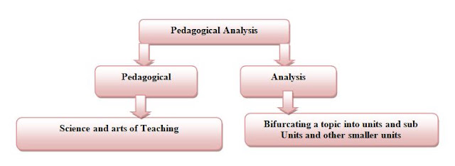 CHAPTER: 08 PEDAGOGICAL ANALYSIS