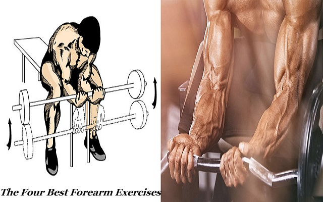 The Four Best Forearm Exercises
