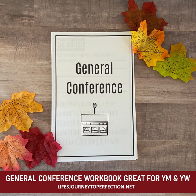 Life's Journey To Perfection: General Conference Workbook for Youth ...