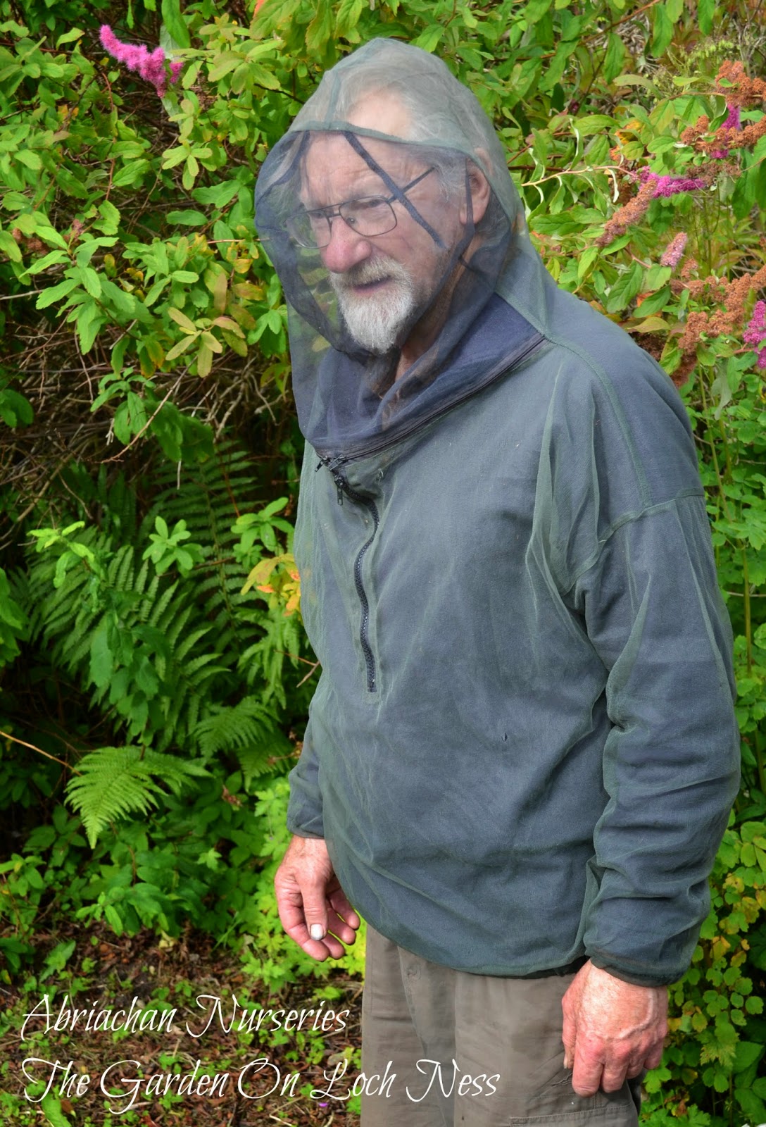 Abriachan Nurseries - The Garden On Loch Ness: Midges - Scotland's ...