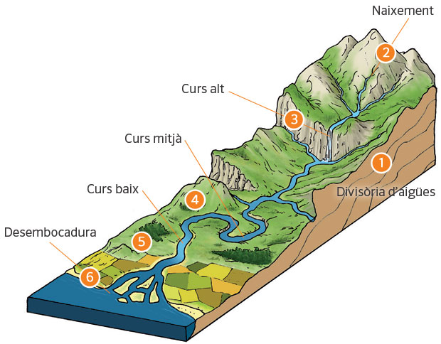 Anem fent camí (6é de primària SJR)