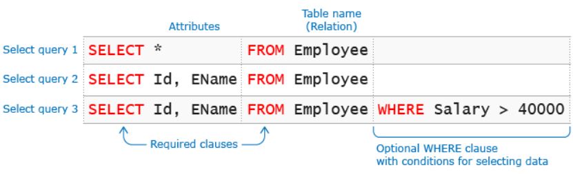DML Statements - Retrieving Data || DBMS Tutorial 7 - BlogLearner