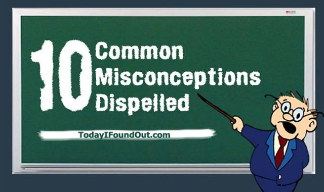 10 Common Misconceptions Dispelled #infographic - Visualistan