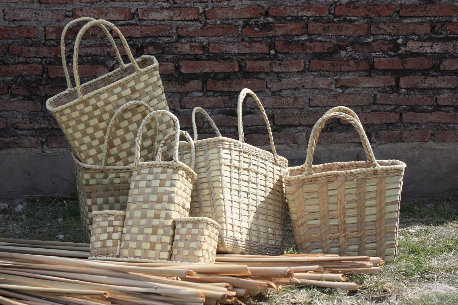 Mujeres Indígenas en Marcha por la Vida: El arte del tejido de cestería