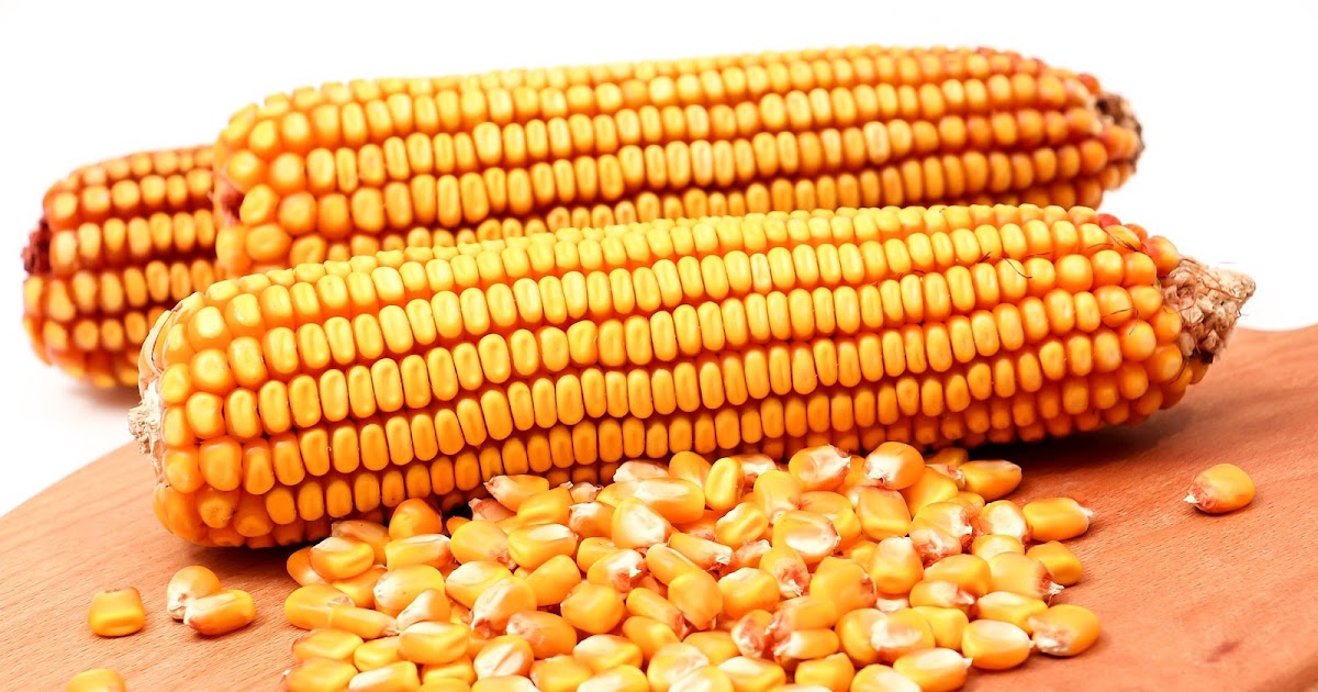 Health Benefits of Maize ~ Nutrition and health mania