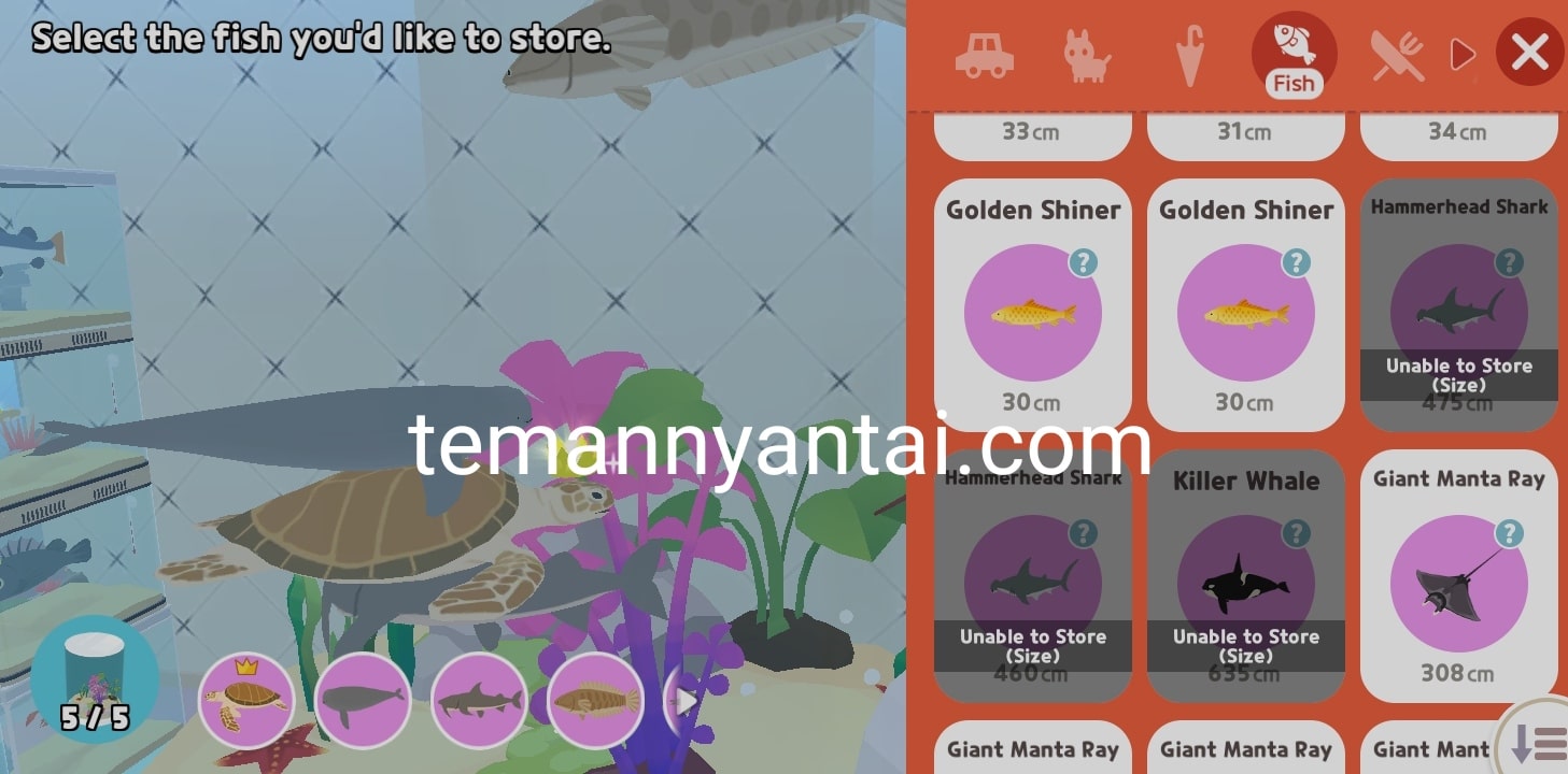 Play Together : Fish Tank Guide