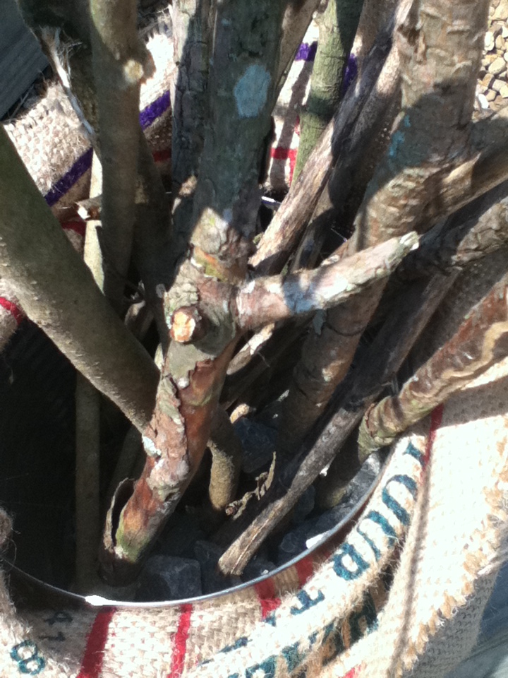 The Creative Vault: Camp Craft Series: The Good Deed Tree