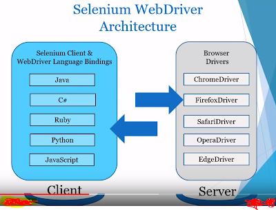 Software Testing/Automation Testing Tutorials: Introduction of Selenium ...