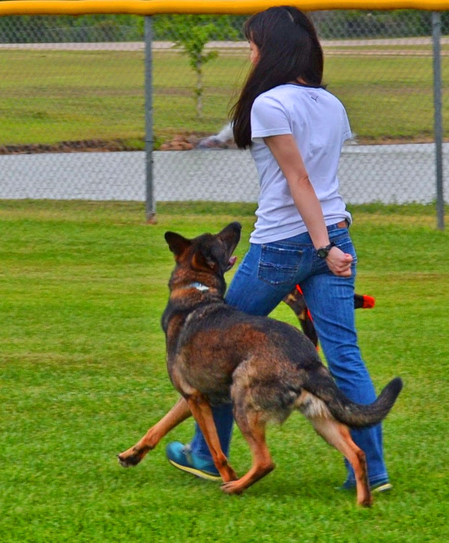 How a female aspie finds her niche in life