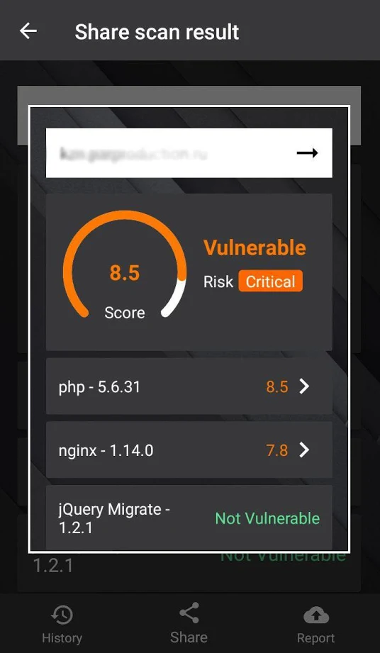 Vulners Scanner For Android Passive Vulnerability Scanning Based On Software Version Fingerprint