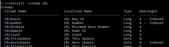 AD CS database schema